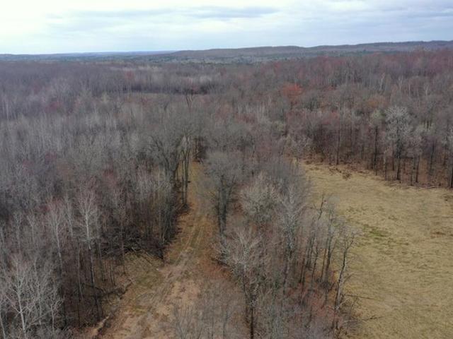 Barrett Trl, Trego, WI 54888