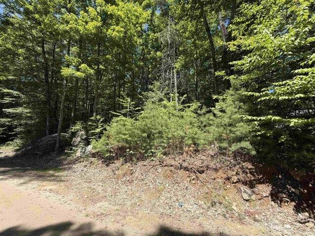 Barrington NH 03825 103851006