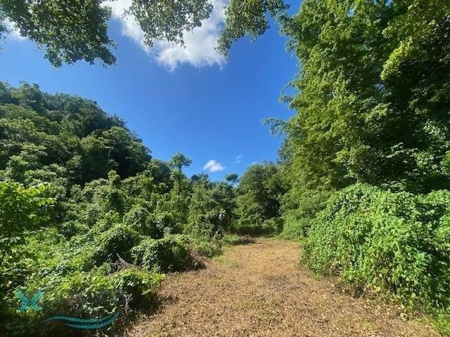 Barrio Arrozal Y Miraflores Unit,arecibo, Plot For Sale