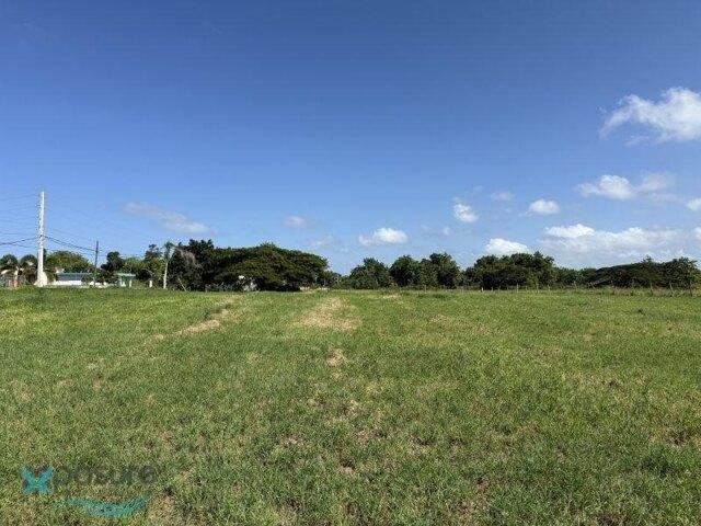 Barrio Mora, Isabela, Plot For Sale