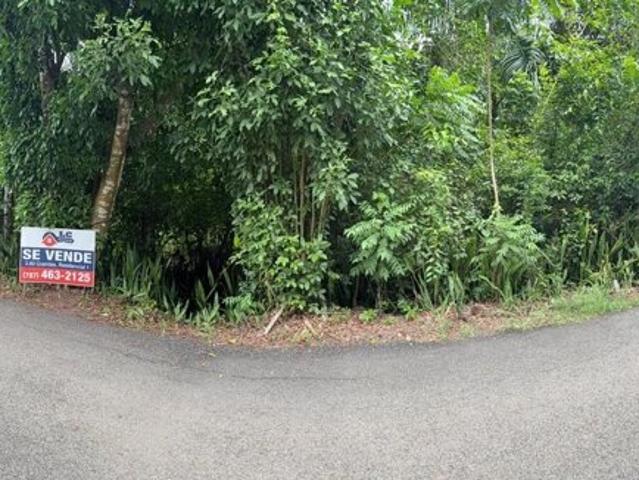 Barrio Pedernales C/ Unit Solar, Cabo Rojo, Farm House For