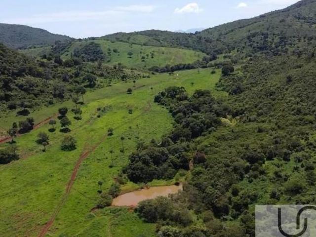BARRO ALTO GOIÁS FAZENDA