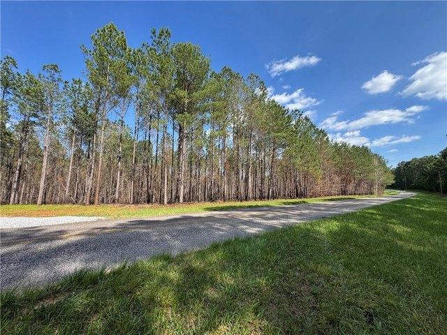 Barrons Brg, Dadeville, AL 36853