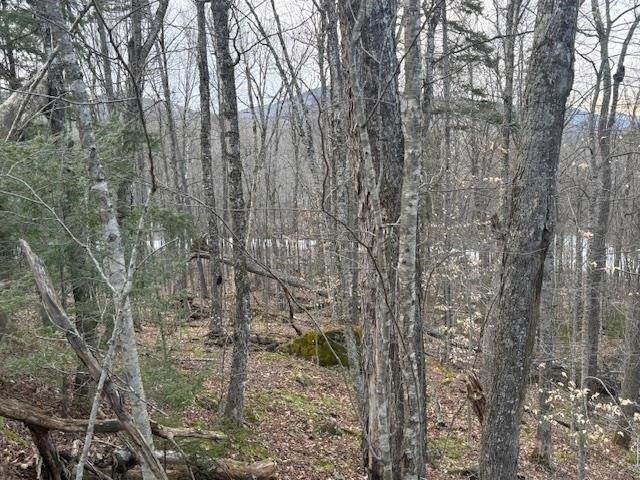 Barrows Towne Rd Lot,killington, Plot For Sale