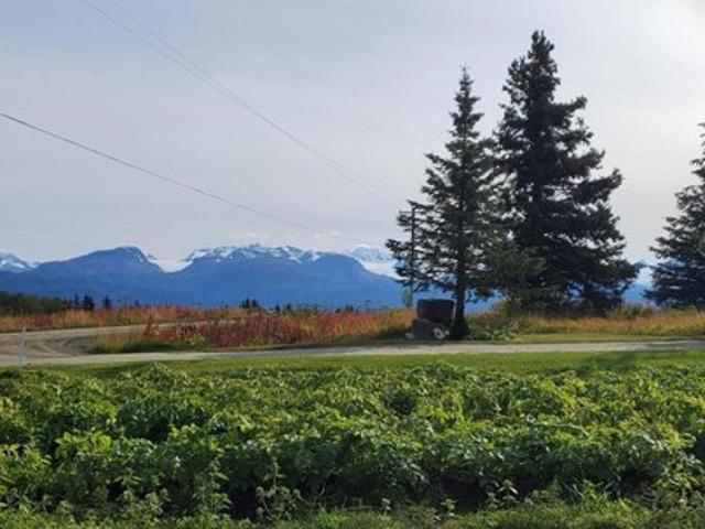 Basargin Rd, Homer, AK 99603
