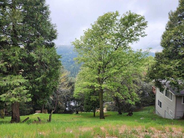 Basel Dr, Crestline, CA 92325