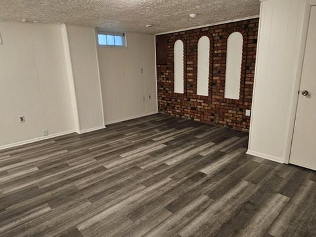 Basement with private enter for rent