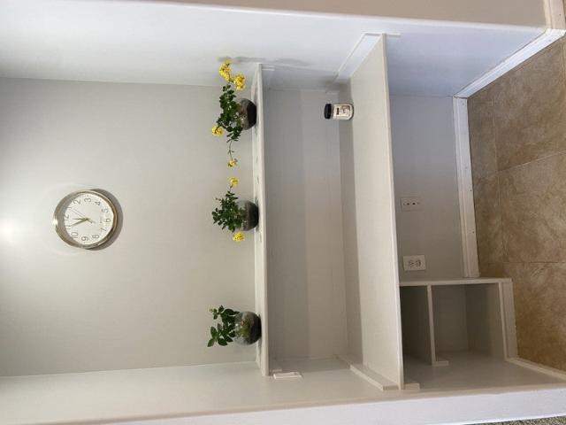 Basement apartment for rent !