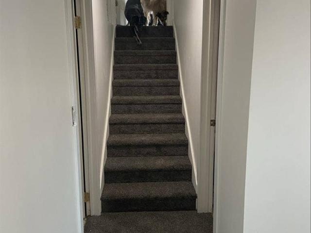 Basement available with bathroom