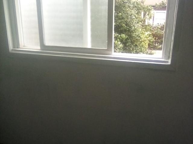Basement I level room available immediately