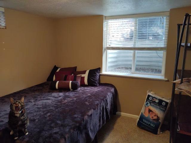 Basement room in Sugarhouse