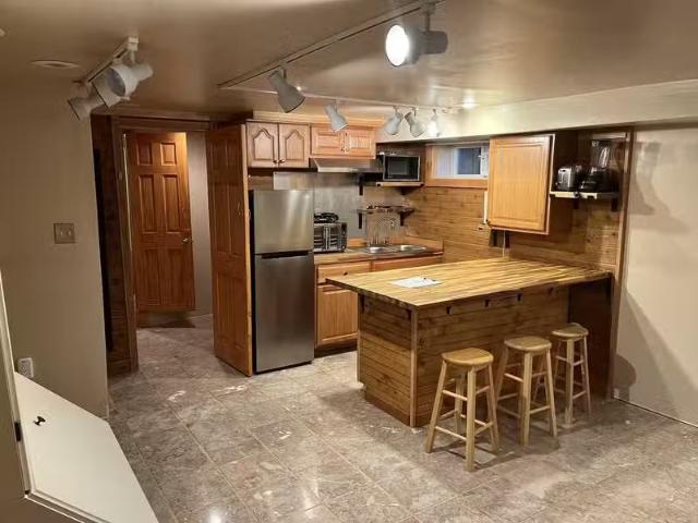 Basement Studio For Rent 142 Webster St Ne #BS