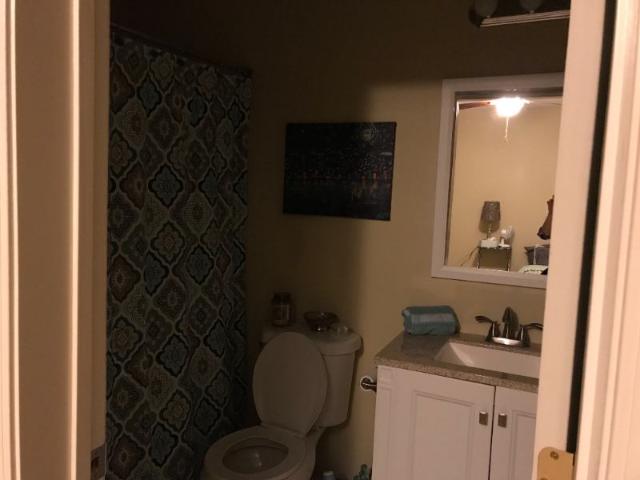 Basement Suite
