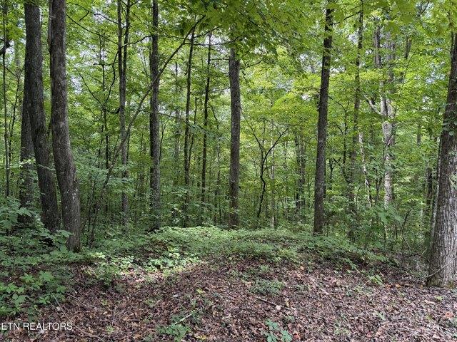 Bass Haven Dr Lot 36, Sharps Chapel, TN 37866