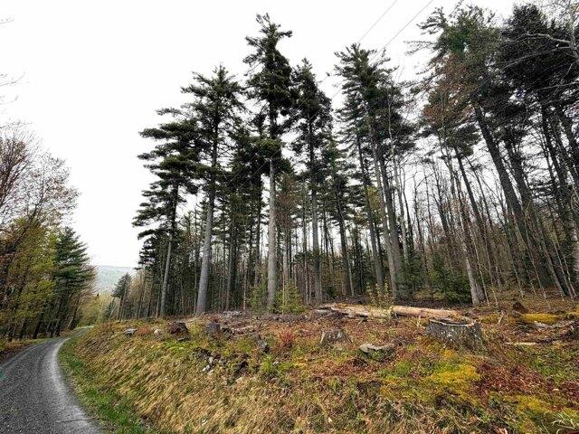 Bassett Hill Rd, Fayston, Plot For Sale