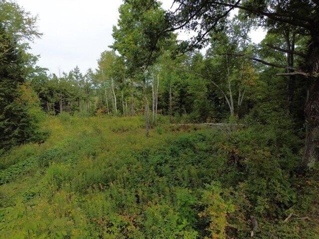 Bassett Rd Lot, Winslow, Plot For Sale