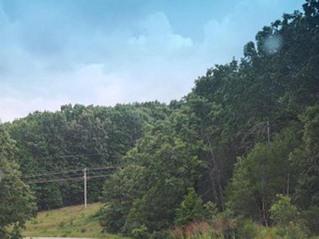 Basswood Dr Lot 4, Mountain Home, AR 72653