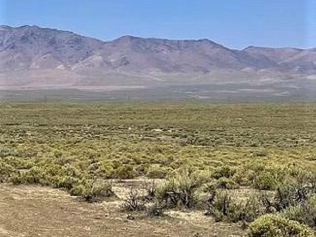 Battle Mountain NV 89438 LS58916463
