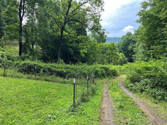 Bates Creek Rd, Murphy, NC 28906