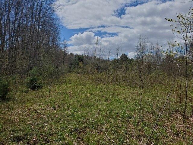 Bates St, North Brookfield, Plot For Sale