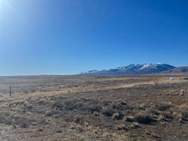 Bauxite Ave, Wildhorse, NV 89801