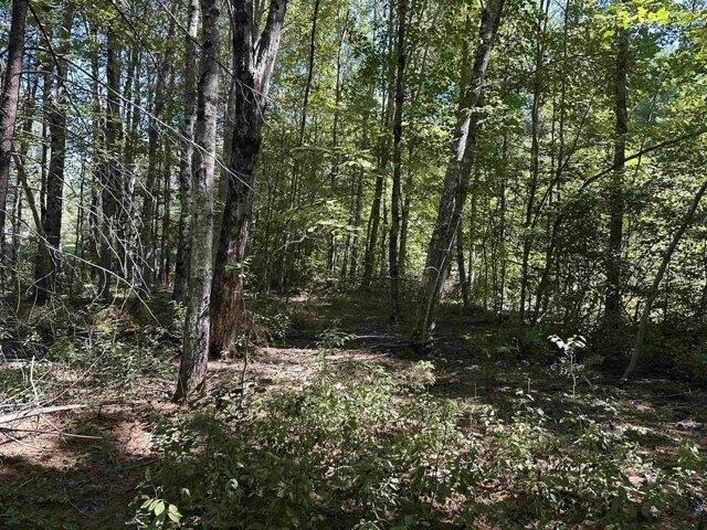 Baxter Pl, Alton, Plot For Sale