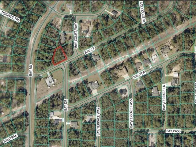 Bay Ct, Ocklawaha, FL 32179