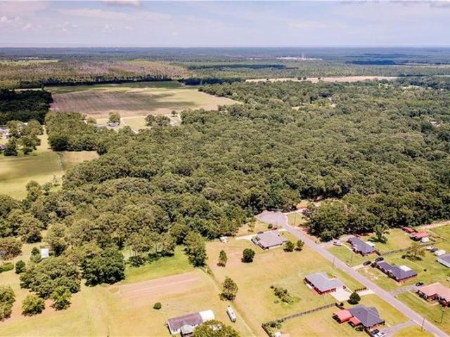 Bay Oaks Place Dr, Irvington, AL 36544