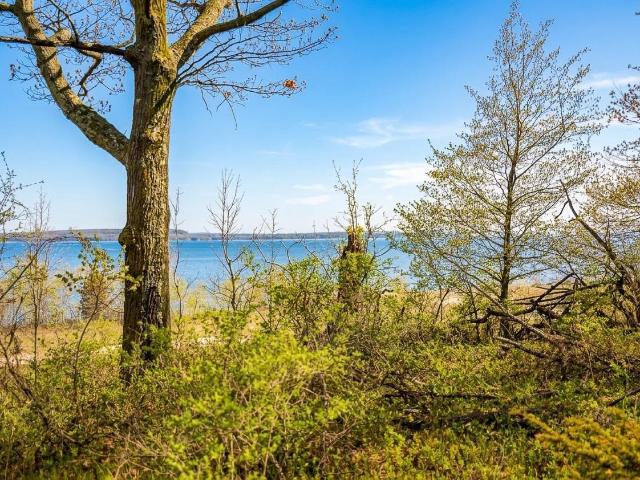 Bay shore heights drive