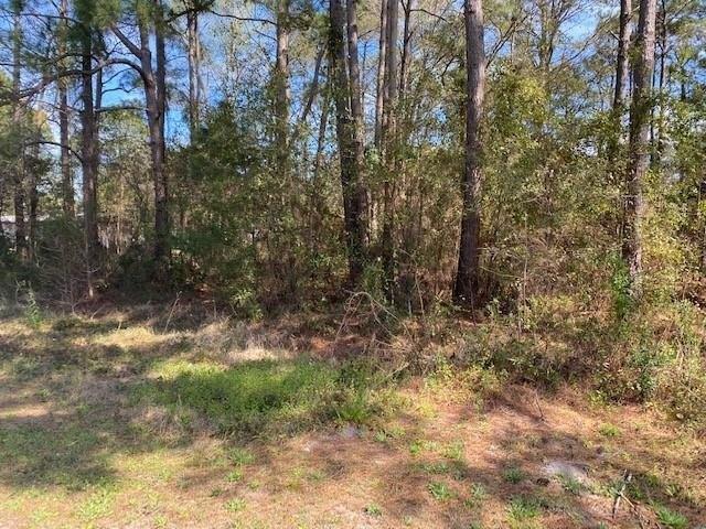 Bay St Lot 715, Darien, GA 31305