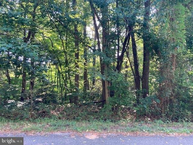 Bay Pointe Dr Lot 215, Montross, VA 22520