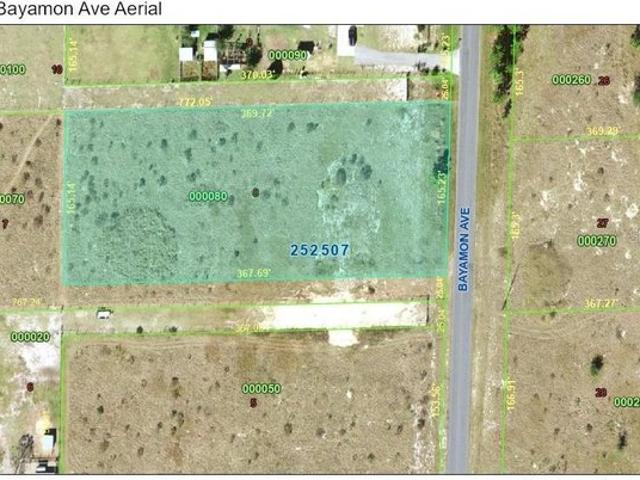 Bayamon Ave, Polk City, FL 33868