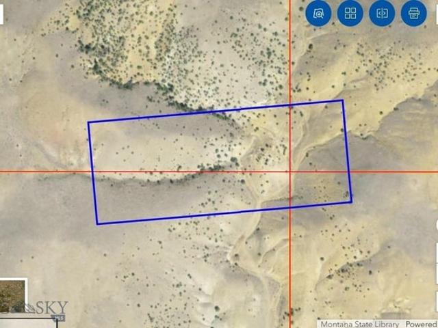 Bayard Lode Survey No # 2169, Alder, MT 59710