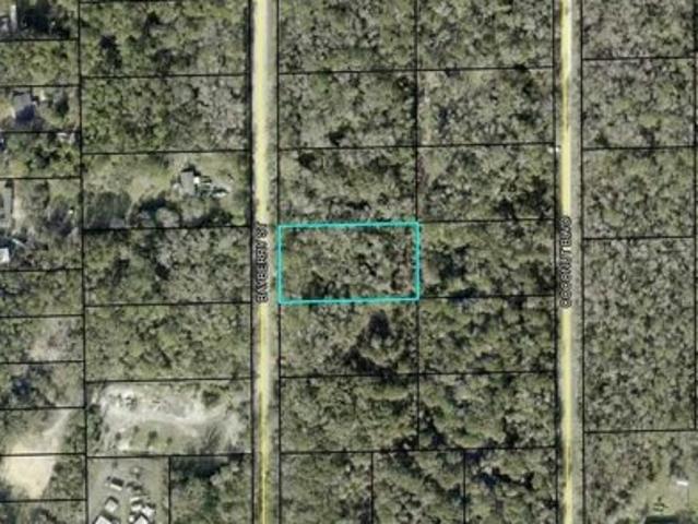 Bayberry Ave, Bunnell, Plot For Sale