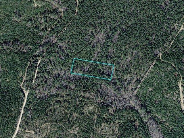 Bayberry Dr, Winnsboro, SC 29180