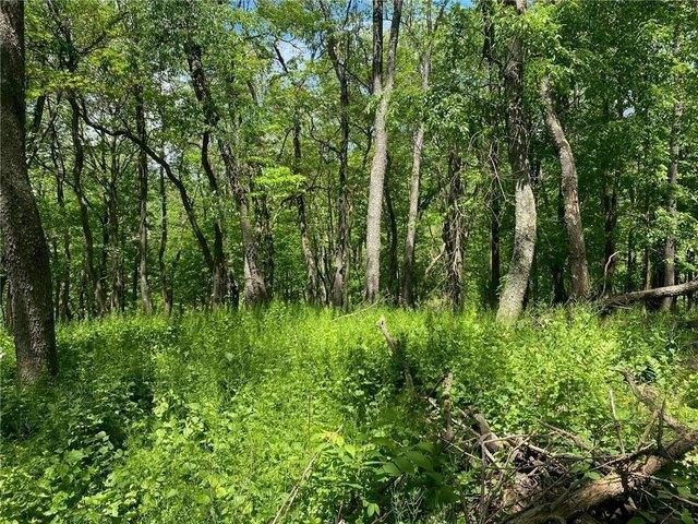 Bayne Rd Lot Wexford, PA 15090