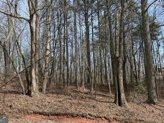 Bayou Dr, Ellijay, GA 30540
