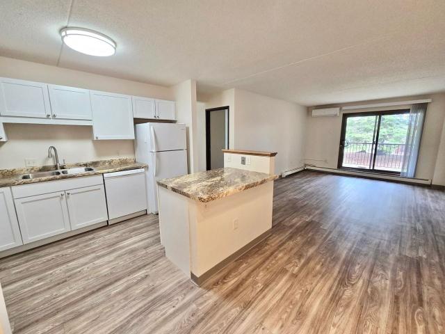Baypoint Shoreline 2 Bedroom Apartment for Rent at 1900 Saint Louis Ave, Duluth, MN 55802 Park Point