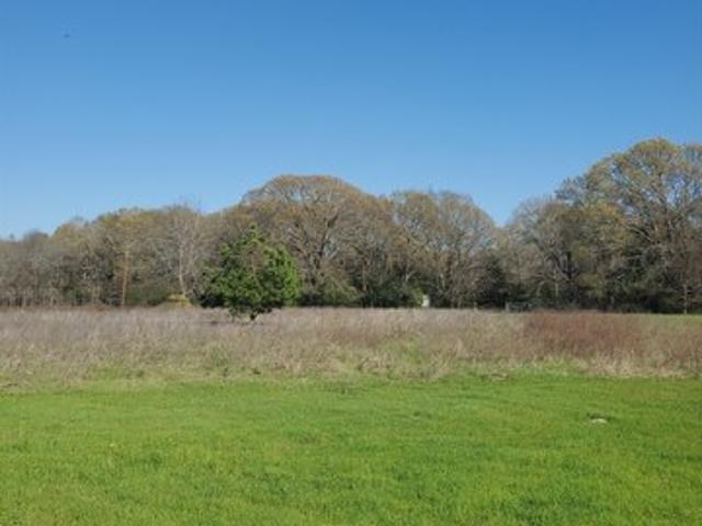 Bayshore Dr, Athens, TX 75752