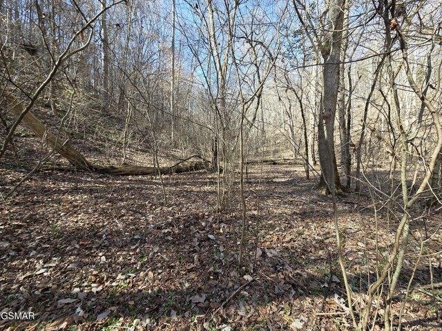 Baysinger Rd, Newport, TN 37821