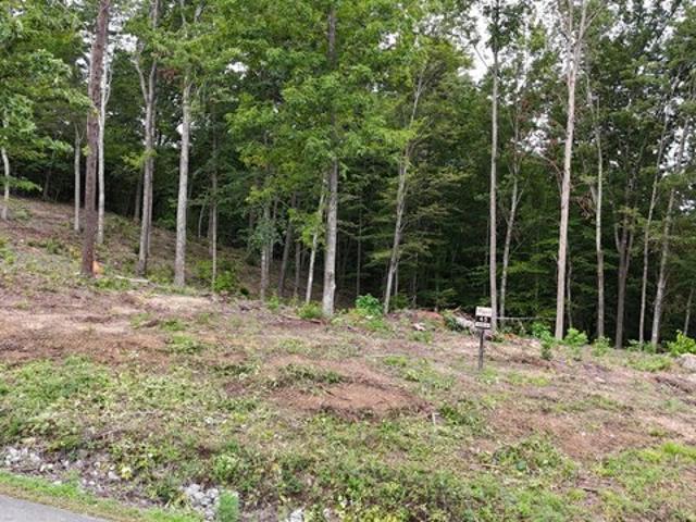 Bayside Blvd Lot 45, Bean Station, TN 37708