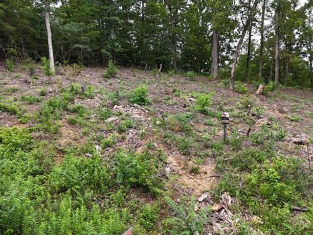 Bayside Blvd Lot 42, Bean Station, TN 37708