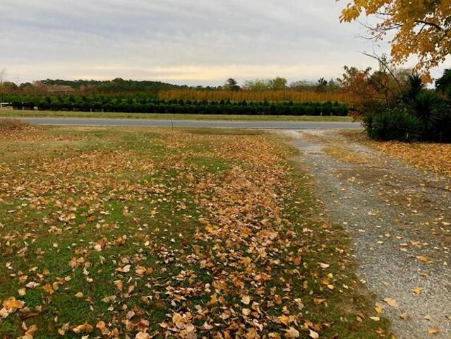 Bayside Rd Lot,exmore, Plot For Sale