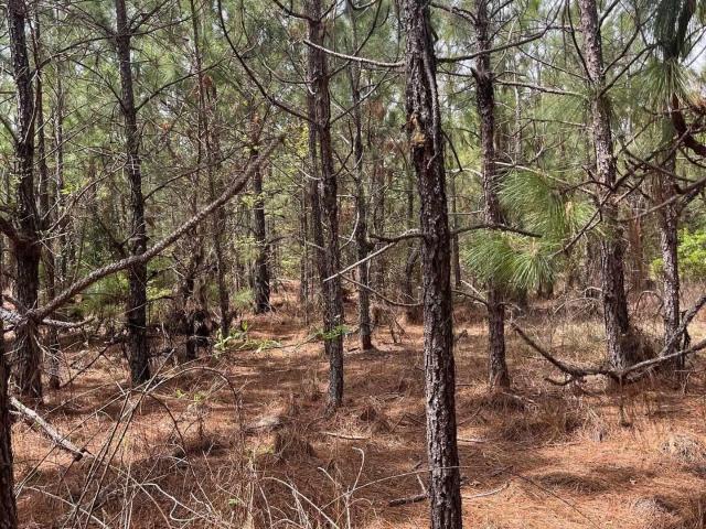 BDF 3 Beaverdam Road Lot BDF 3