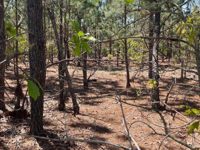 BDF 1 Beaverdam Road Lot BDF 1