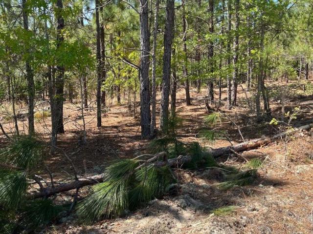 BDF 2 Beaverdam Road Lot BDF 2
