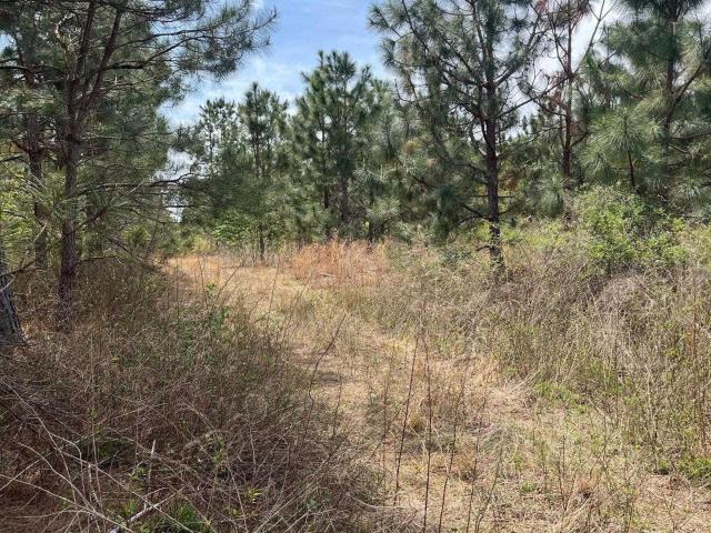BDF 7 Beaverdam Road Lot BDF 7