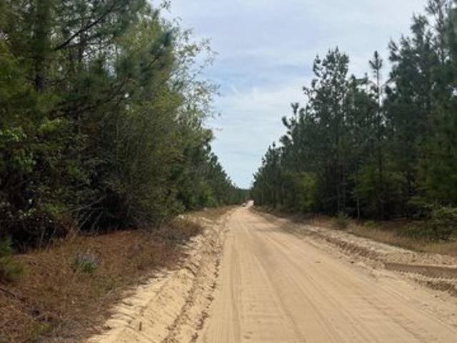 Bdf 4 Beaverdam Rd, Cassatt, SC 29032