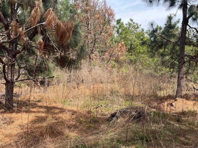 BDF 5 Beaverdam Road Lot BDF 5