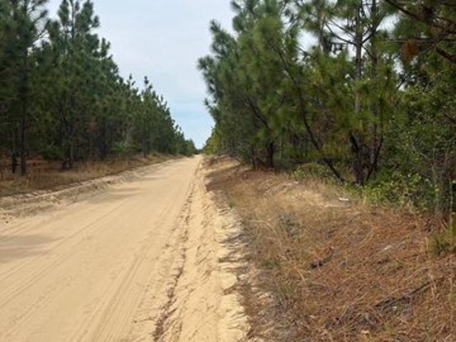 Bdf 5 Beaverdam Rd, Cassatt, SC 29032